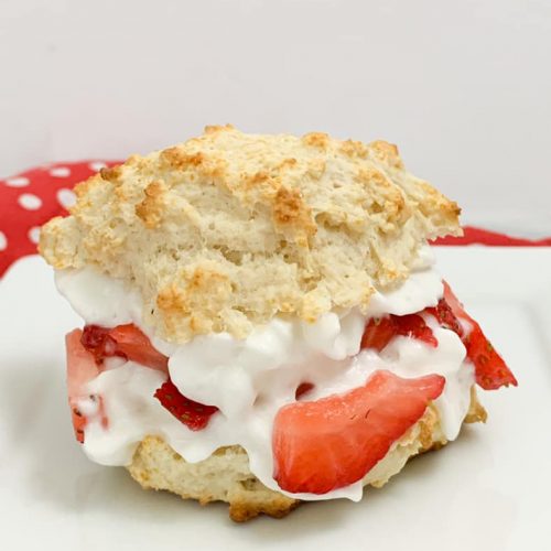 Strawberry Shortcake – WW (Weight Watchers) Freestyle